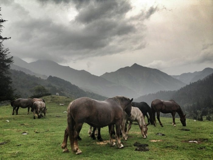 Horseback Riding in Spain (the Pyrenees) - Kokopeli